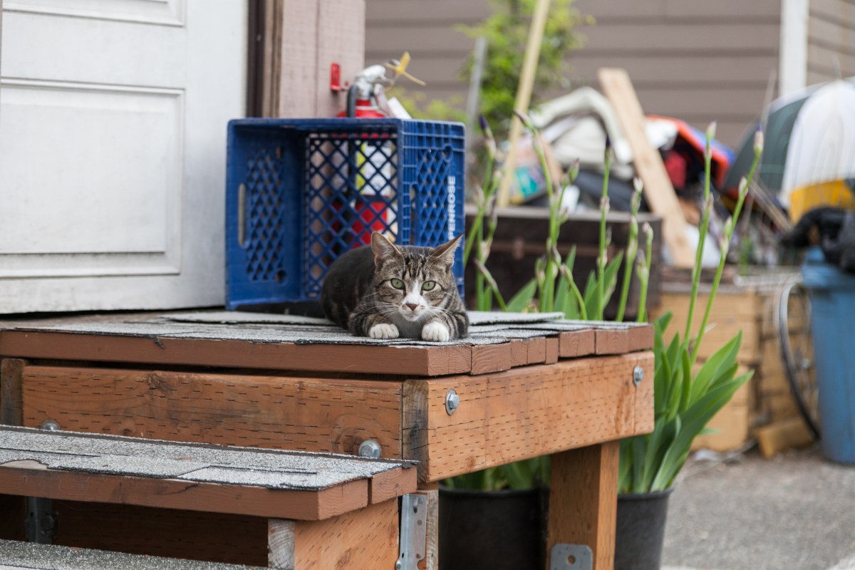 Wish List – Dignity Village